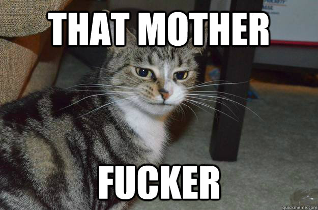 that mother fucker - Misc - quickmeme