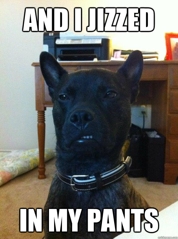 and i jizzed in my pants - jizz face dog - quickmeme