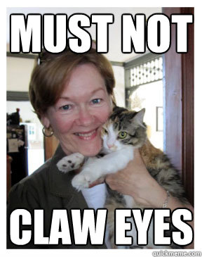 must not claw eyes - Will Power Cat - quickmeme