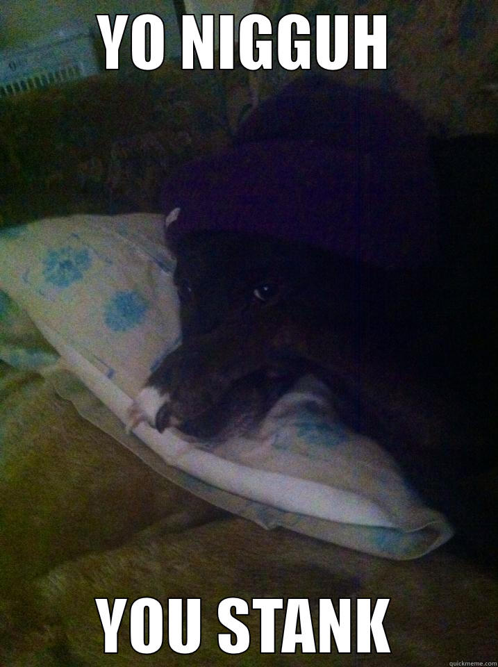STANK ASS - quickmeme