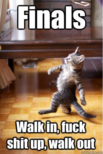 Finals Walk in, fuck shit up, walk out - Pimp Strut Cat - quickmeme