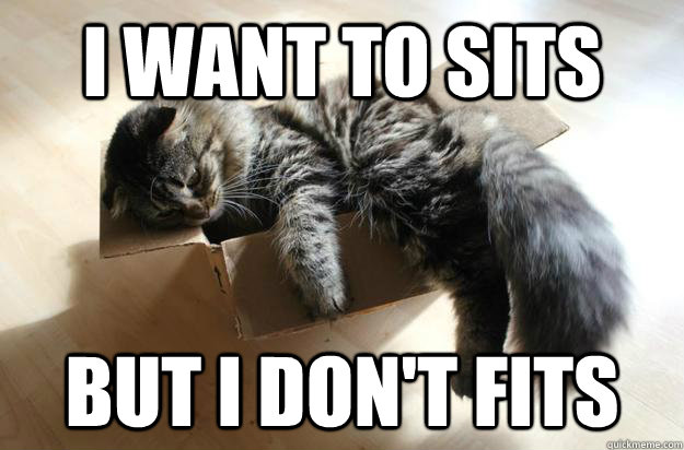 I want to sits but i don't fits - First world cat problem version 2 - quickmeme