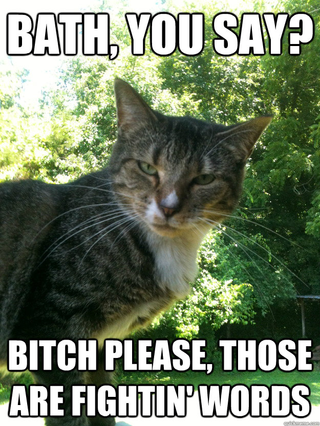 Unimpressed Tomcat memes | quickmeme