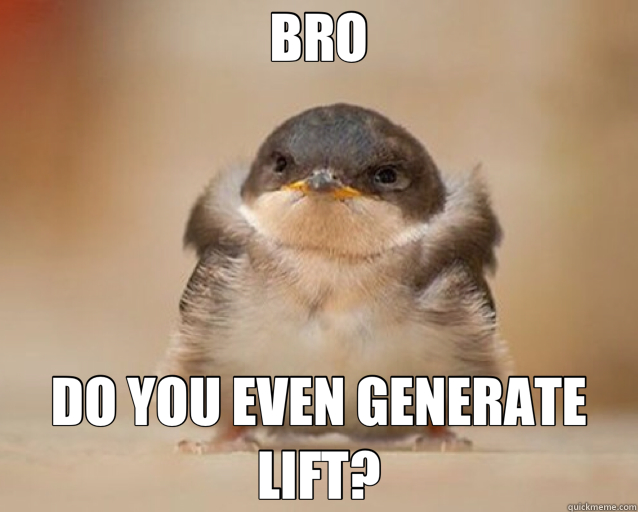 BRO DO YOU EVEN GENERATE LIFT? - Misc - quickmeme