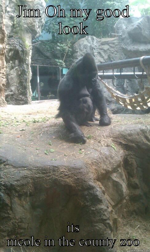 Raunchy nicole - quickmeme