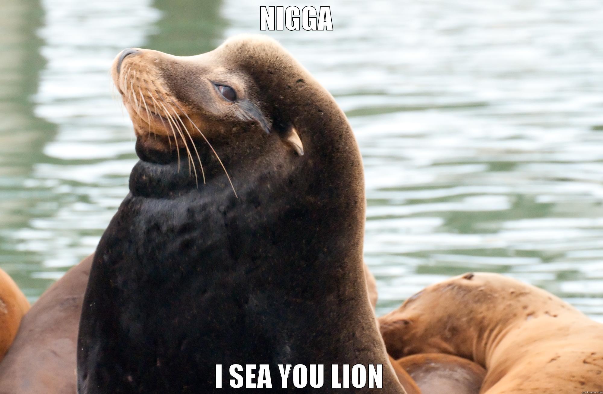I sea you lion - quickmeme