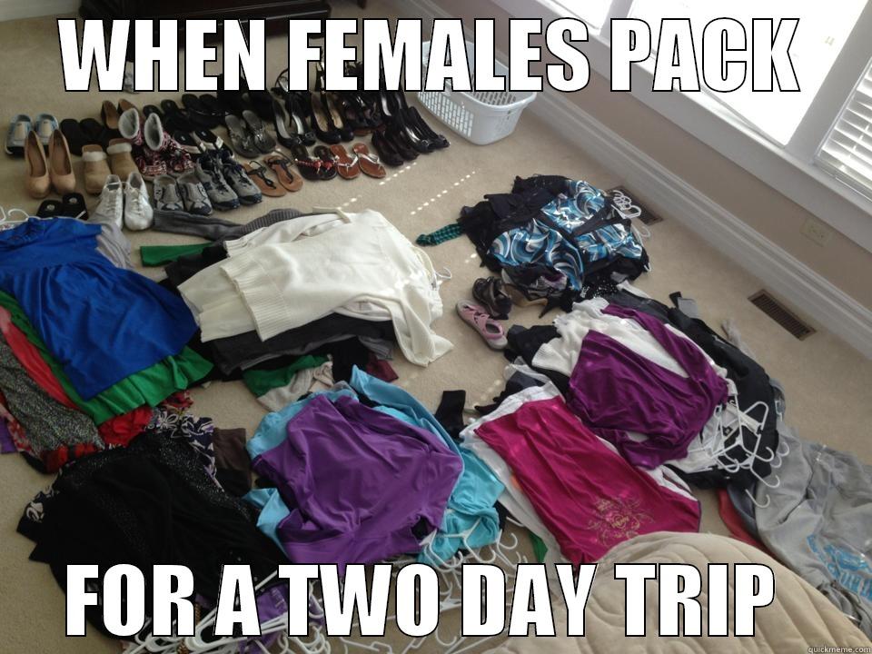 her travel bags - quickmeme