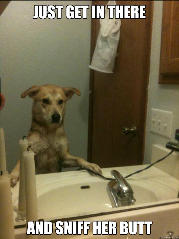 Just get in there and sniff her butt - Misc - quickmeme