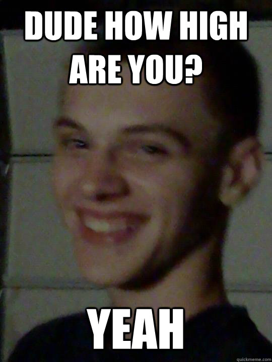 dude how high are you? Yeah - Misc - quickmeme
