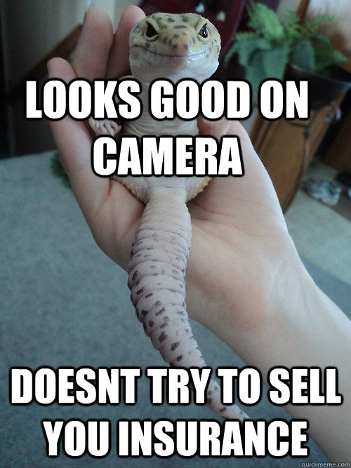 looks good on camera doesnt try to sell you insurance - Misc - quickmeme