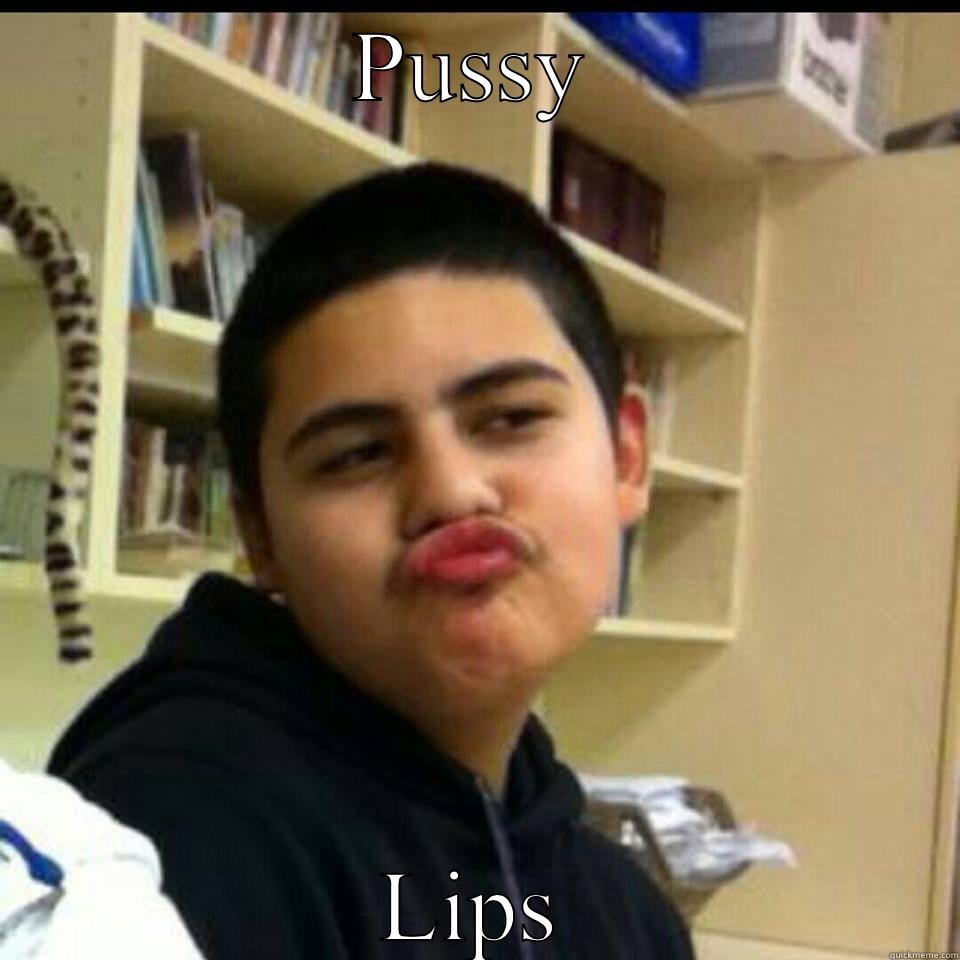 Pussy lips - quickmeme