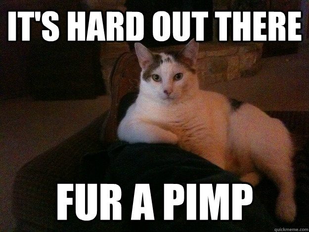 It's hard out there Fur a pimp - Its hard out there - quickmeme