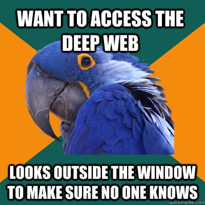 want to access the deep web looks outside the window to make sure no one knows - Paranoid Parrot ...