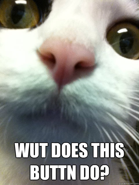 Wut does this buttn do? - Misc - quickmeme