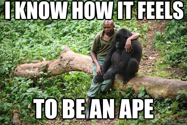 I know how it feels to be an ape - 2 apes - quickmeme