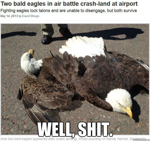 Well, shit. - Misc - quickmeme