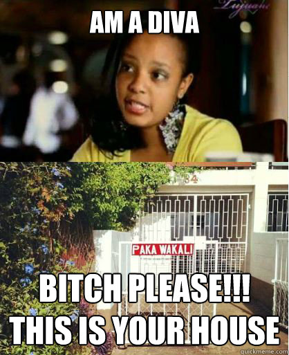 Am a DIVA Bitch please!!! This is your house - Mirfa musa troll - quickmeme