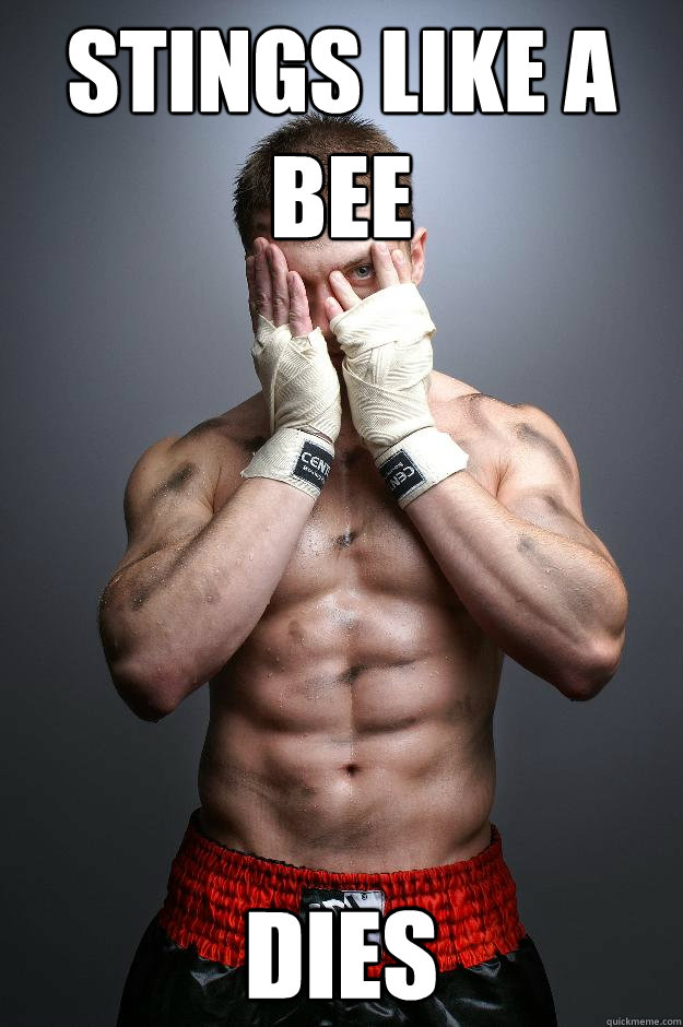Stings Like a bee Dies - Boxer - quickmeme