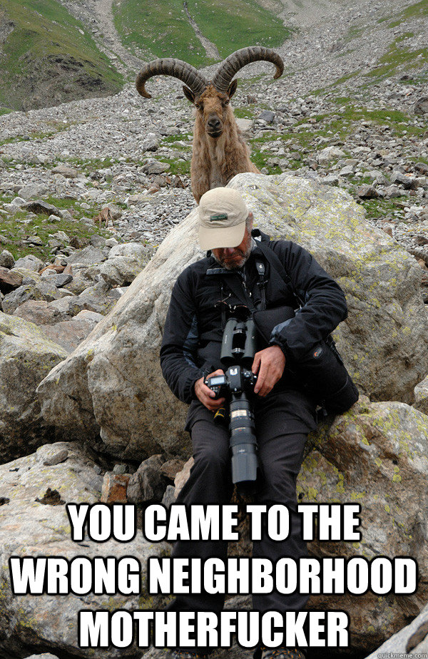 You came to the wrong neighborhood motherfucker - Goat Territory - quickmeme