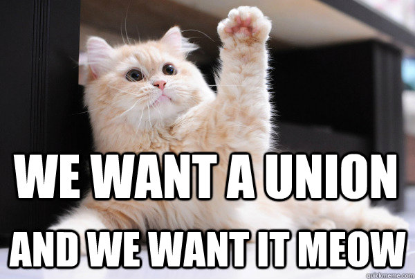 We want a union and we want it meow - Misc - quickmeme