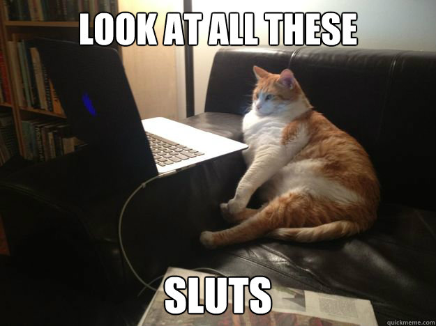 Look at all these Sluts - vicarious cat - quickmeme