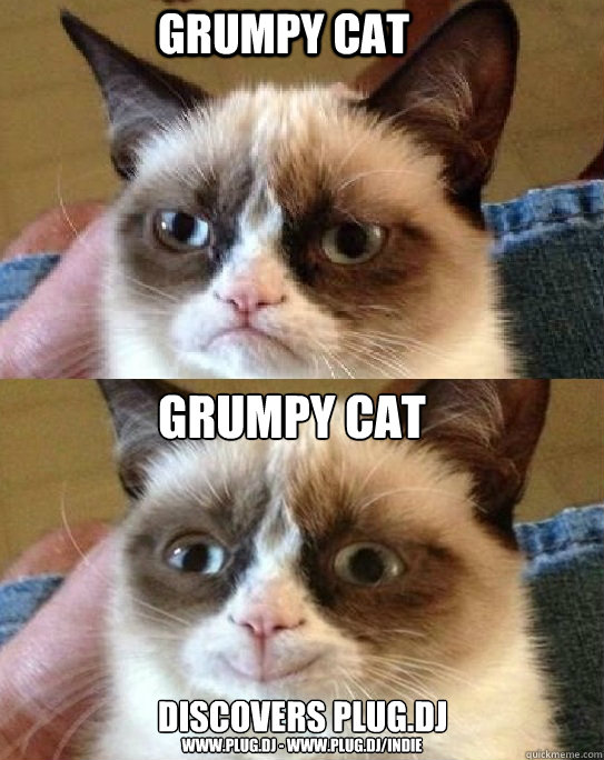 GRUMPY CAT GRUMPY CAT www.plug.dj - www.plug.dj/indie DISCOVERS PLUG.DJ - Misc - quickmeme