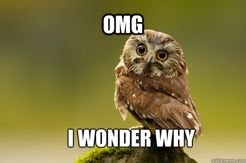 Almost Nice Owl memes | quickmeme