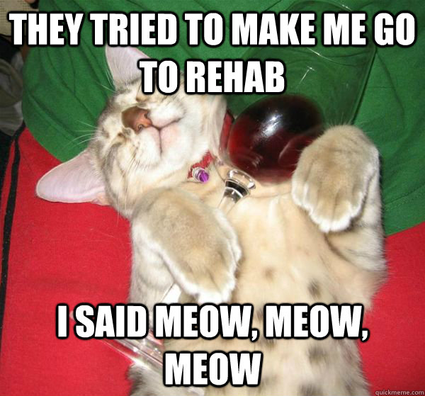 they tried to make me go to rehab i said meow, meow, meow - Misc - quickmeme
