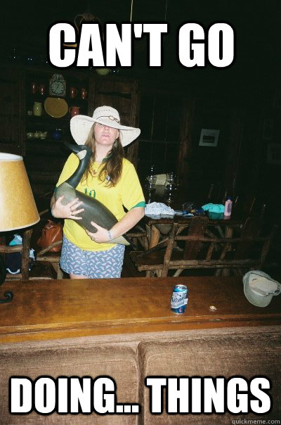 CAN'T GO DOING... THINGS - Lauren Goose - quickmeme