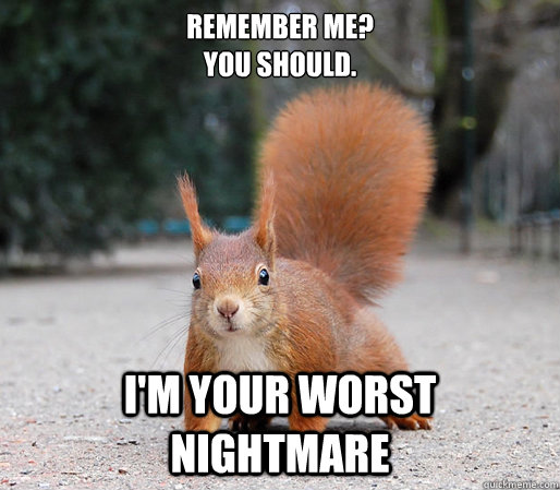Evil Squirrel Memes