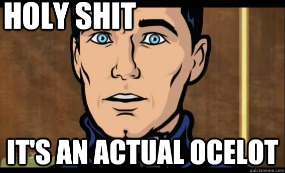 Holy Shit it's an actual ocelot - Supprised Archer - quickmeme