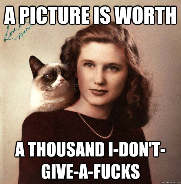A picture is worth a thousand i-don't-give-a-fucks - Grumpy Cat Portrait - quickmeme