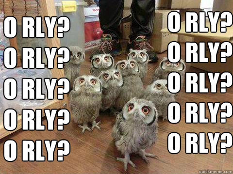 We heard you had Tootsie Pops - Herd of skeptical owls - quickmeme