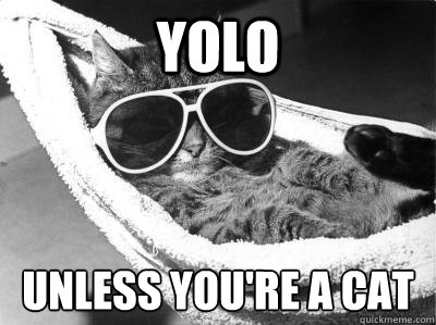 YOLO unless you're a cat - Cat sup - quickmeme
