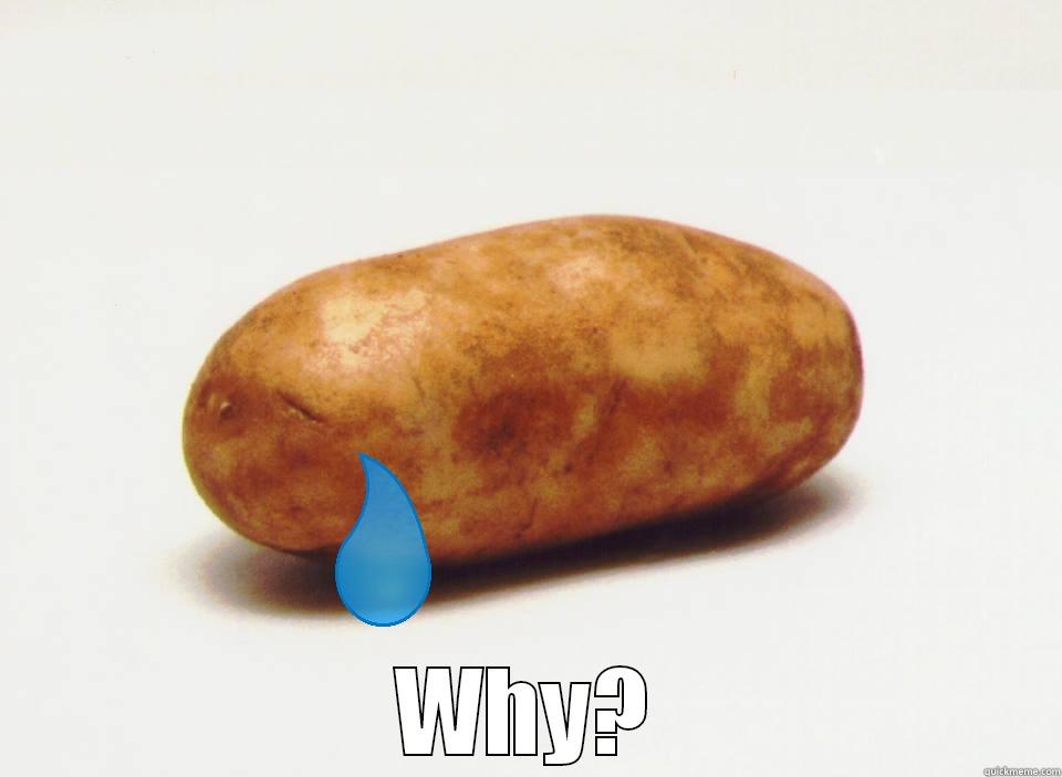 why potato - quickmeme