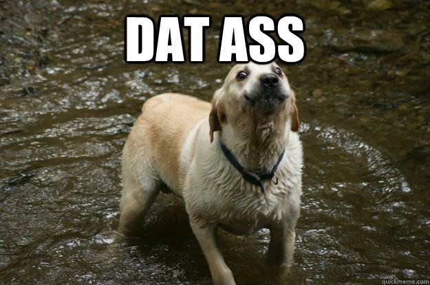 Dat ass - Misc - quickmeme