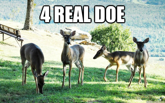 4 real doe memes | quickmeme
