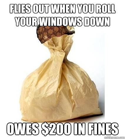Flies out when you roll your windows down OWES $200 in fines - Scumbag Bag - quickmeme