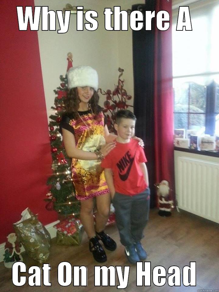 fat moths - quickmeme