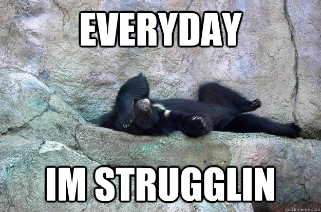 EVERYDAY IM STRUGGLIN - Hungover Bear - quickmeme