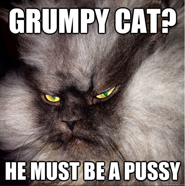 Grumpy cat? He must be a pussy - Misc - quickmeme