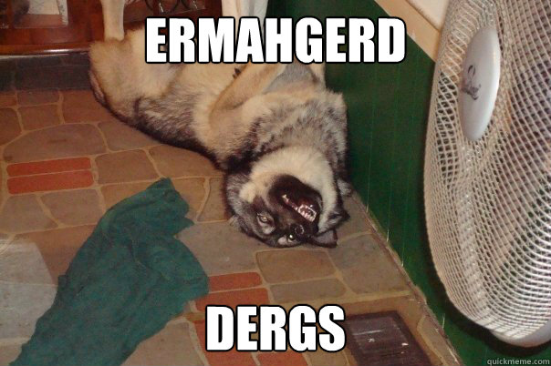 ermahgerd dergs - Misc - quickmeme