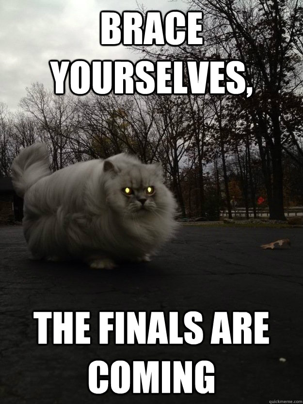 Brace yourselves, the finals are coming - Winterfell Cat - quickmeme