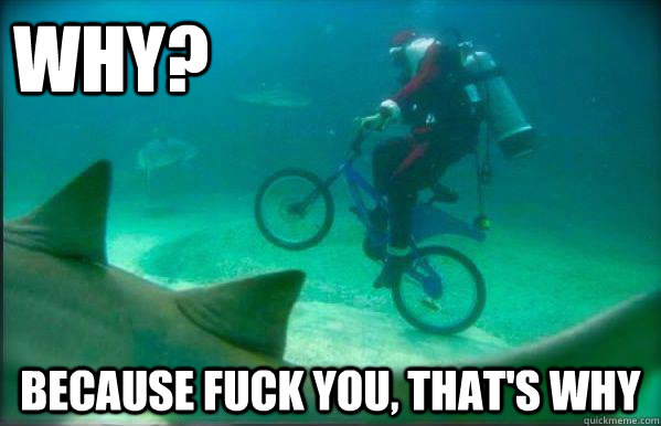 Why? Because fuck you, that's why - Why Because fuck you, thats why - quickmeme