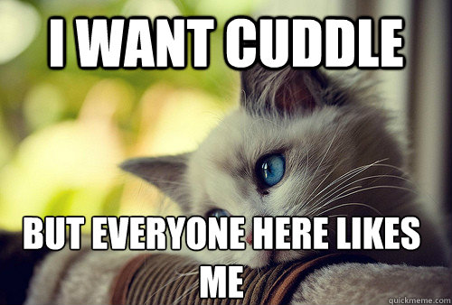 i want cuddle but everyone here likes me - First World Cat Problems - quickmeme