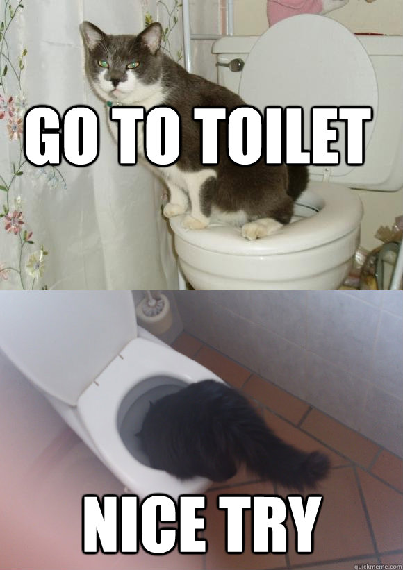 go to toilet nice try - Misc - quickmeme