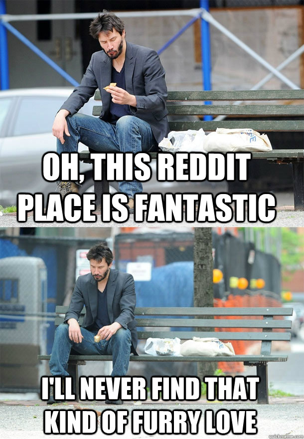 Oh, this reddit place is fantastic I'll never find that kind of furry love - Misc - quickmeme