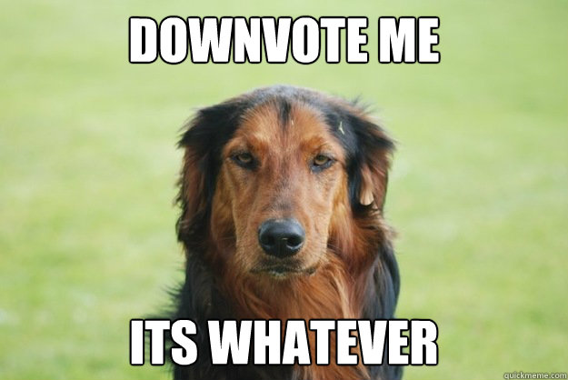 downvote me its whatever - Careless Canine - quickmeme