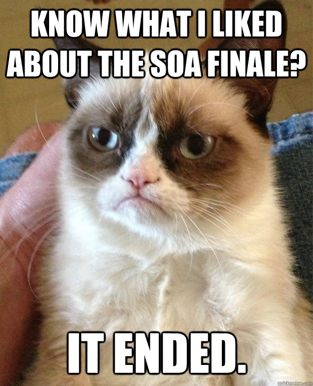 Know what I liked about the SOA Finale? It ended. - Misc - quickmeme