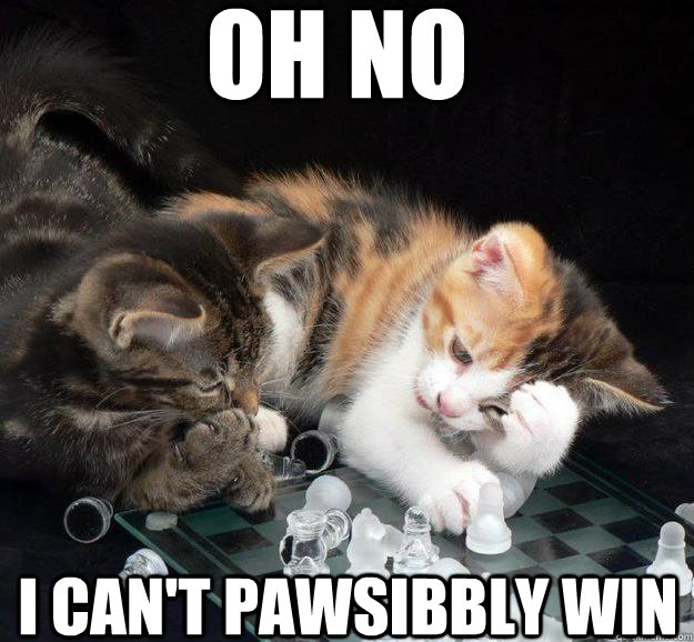 OH NO I can't pawsibbly win - Chess Cats - quickmeme